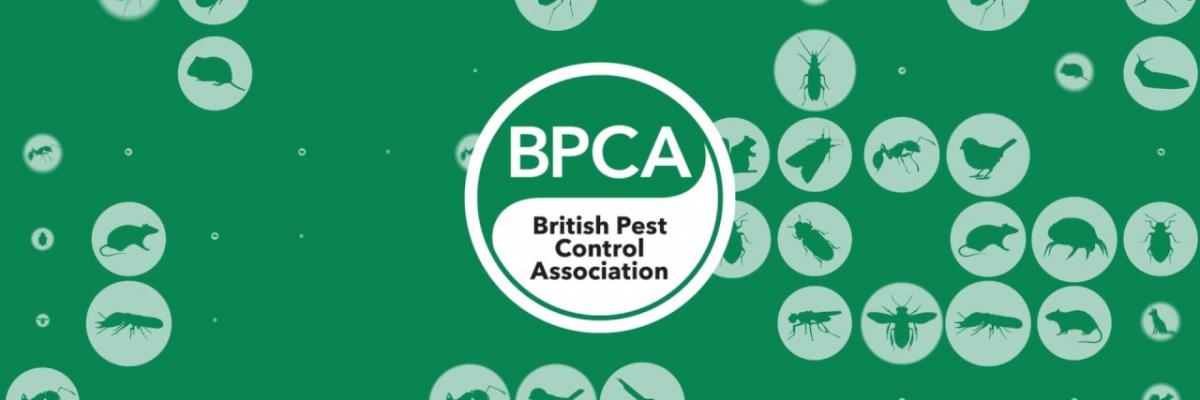 COVID-19: Should we provide disinfection? BPCA | CEPA